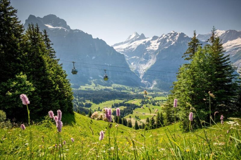 From Zurich: Grindelwald First Cable Car & Interlaken - Who Will Love This Tour?