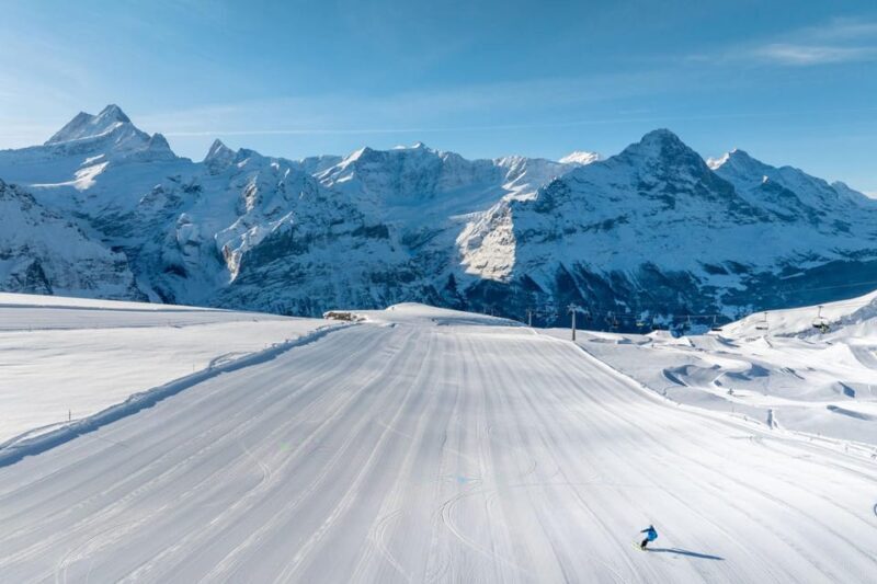 From Zurich: Grindelwald First Cable Car & Interlaken - FAQ