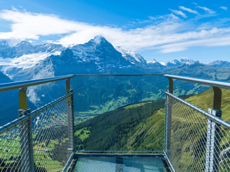 From Zurich: Grindelwald First Top of Adventure Private Trip - Who Might Not Love It?