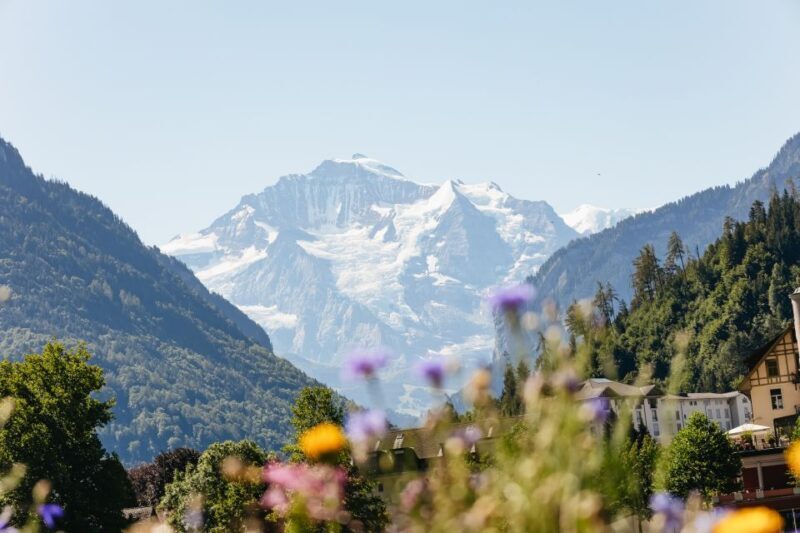 From Zurich: Guided Day Trip to Jungfraujoch with Train Ride - FAQs