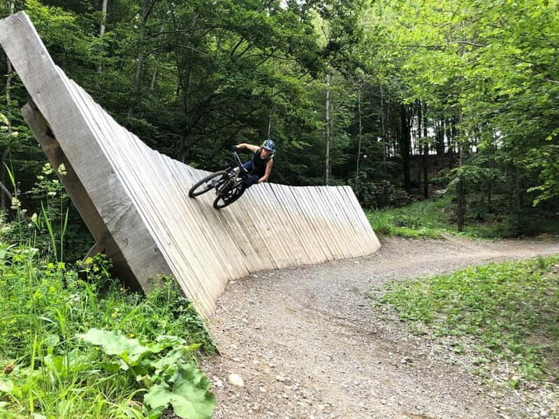 From Zurich: Mountain Magic on Two Wheels to Uetliberg - Exciting Descent through Forest Trails