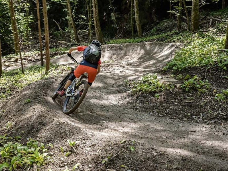 From Zurich: Mountain Magic on Two Wheels to Uetliberg - The Sum Up: Who Will Love This Tour?