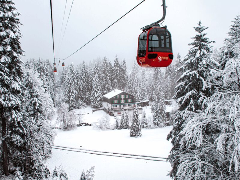 From Zurich: Pilatus & Lucerne with Cruise Private Day Trip - Who Will Love This Tour?