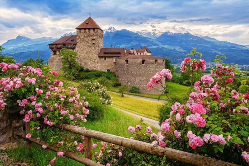 From Zurich: Private Trip to Liechtenstein and Heidiland - Who Should Consider This Tour?