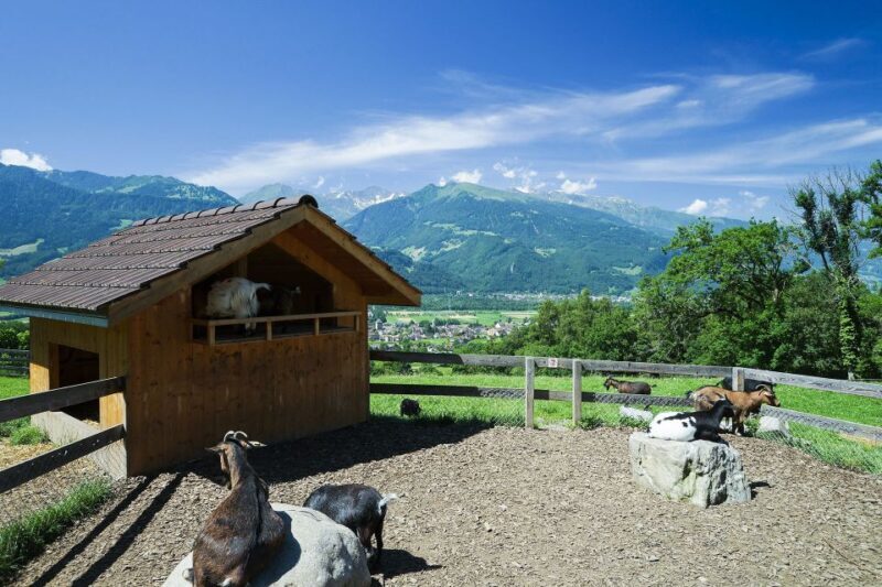 From Zurich: Private Trip to Liechtenstein and Heidiland - FAQ