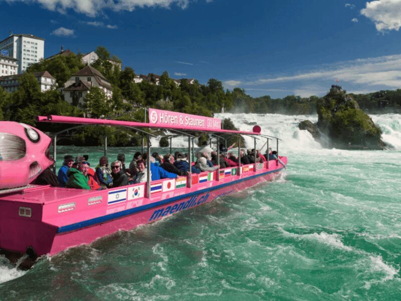From Zurich: Rhine Falls & Stein am Rhein Private Day Trip - Price and Value: Is It Worth It?
