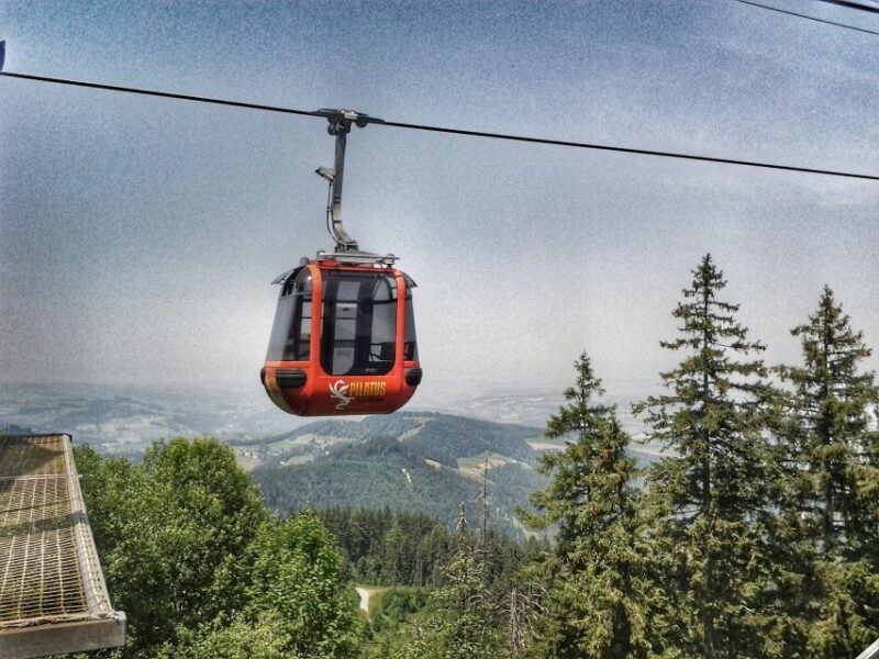 From Zürich:Small Group Tour Golden Roundtrip to Mt. Pilatus - Practical Tips for Travelers
