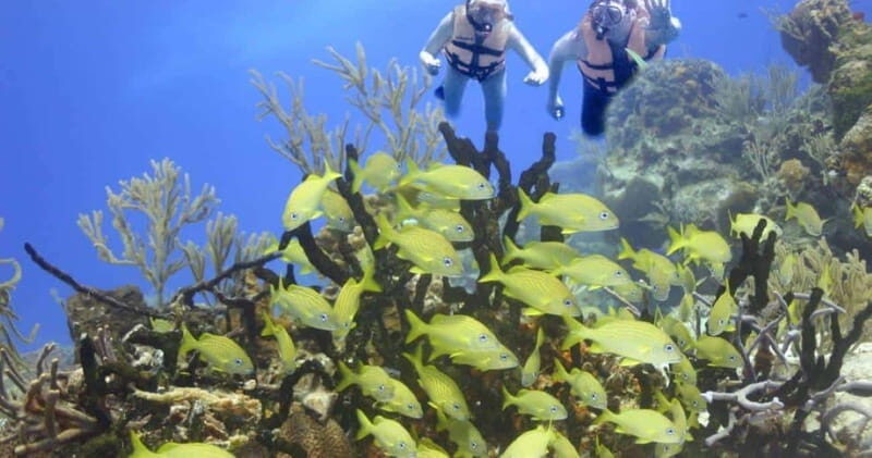 FromCancun: Puerto Morelos: Bike & Zip Line Tour - Key Points