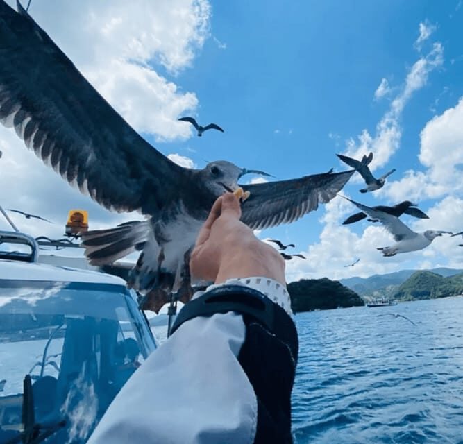 FromOsaka/Kyoto:Hiroshima & Miyajima Private Tour with Lunch - What We Love About This Tour