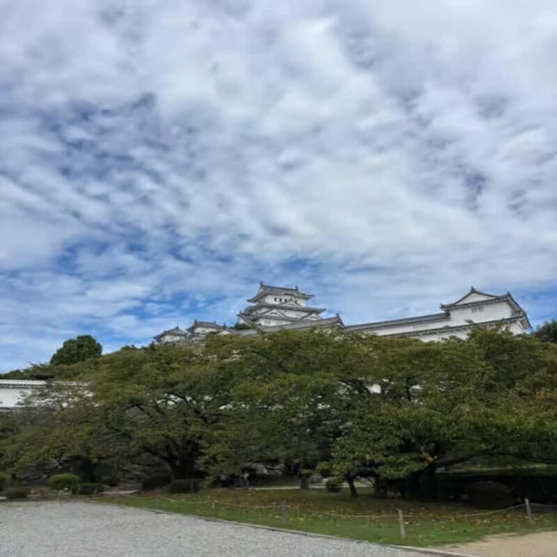 From:Osaka&Kyoto: Kobe & Himeji Private Family Day Trip - Kobe: A Coastal Charm