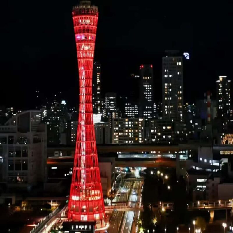 From:Osaka&Kyoto: Kobe & Himeji Private Family Day Trip - Return Journey and Reflections