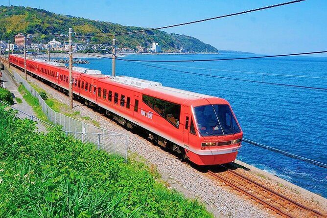 FromTokyo: Izu Scenic Oceanview Train, Volcano, Coast Day Trip - Key Points