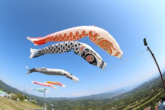 FromTokyo: Izu Scenic Oceanview Train, Volcano, Coast Day Trip - Summary