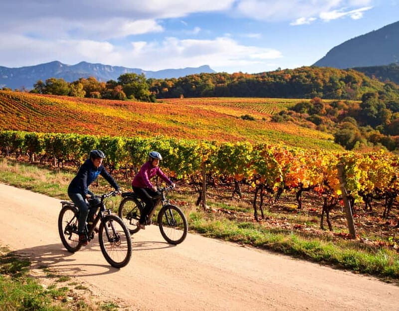 Fronsac vineyard mountain bike tour + wine tasting at La Closerie de Fronsac - What Makes This Tour Special?