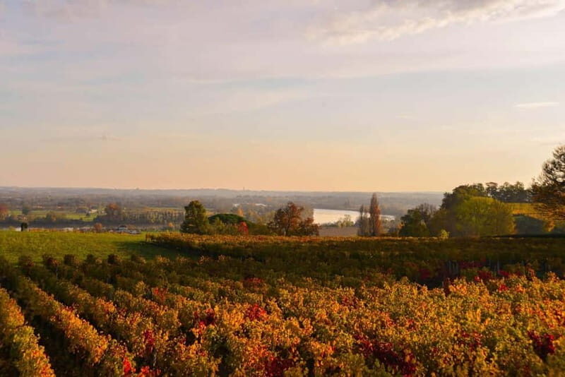 Fronsac vineyard mountain bike tour + wine tasting at La Closerie de Fronsac - Practical Details: Value & Logistics