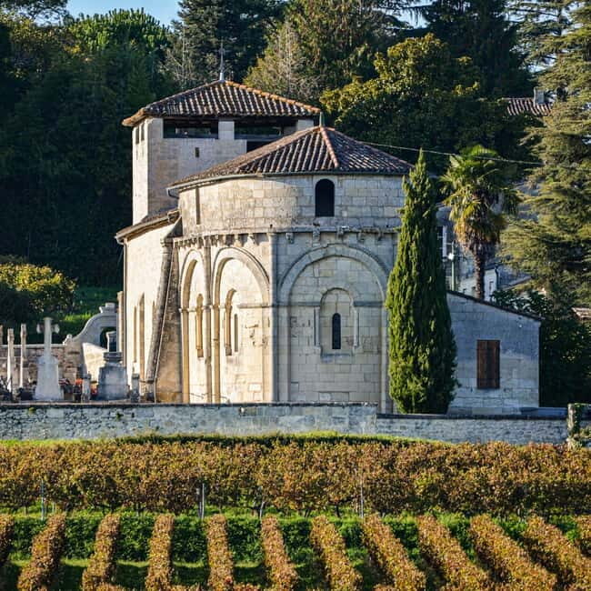 Fronsac vineyard mountain bike tour + wine tasting at La Closerie de Fronsac - Who Is This Tour Best For?