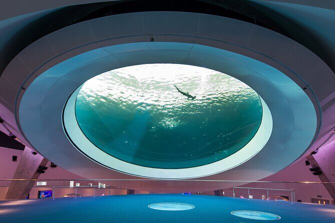 Frost Science Museum Admission Tickets - A Closer Look at Frost Science Museum