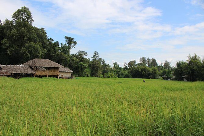 Fruiful Oneday! Trip outskirt of a City from end to end - A Look at the Itinerary: What You Can Expect