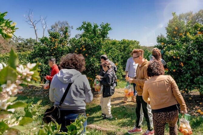 Fruit Picking & Nature Private Tour Yarra Valley & Warburton - Exploring the Yarra Valley & Warburton: An Honest, In-Depth Look