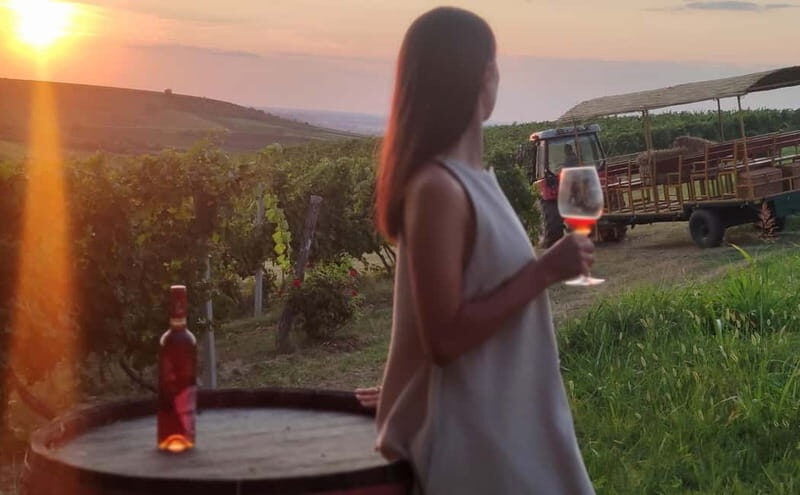 Fruka Gora Wine Tasting - An In-Depth Look at the Tour