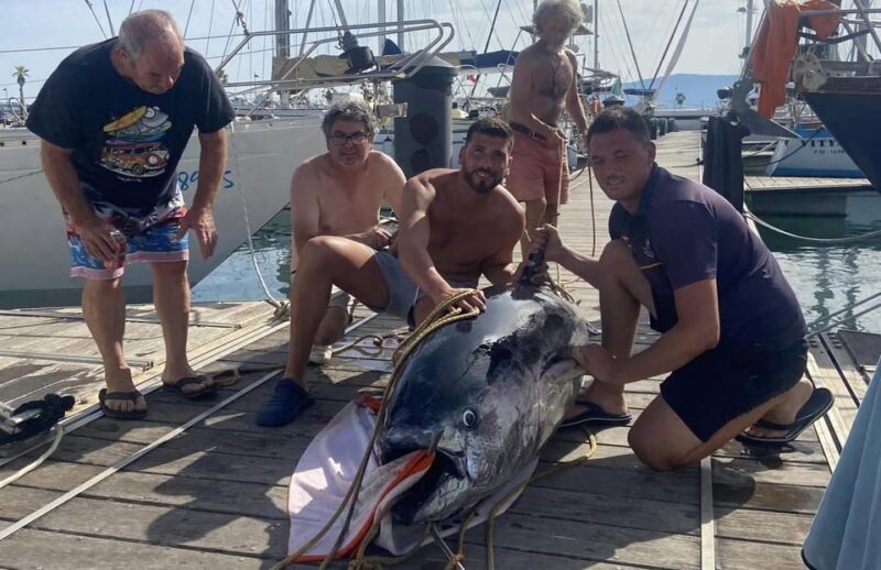 Fuengirola: 4h Trolling Fishing Trip with Snacks and Drinks - Practical Tips for a Smooth Trip