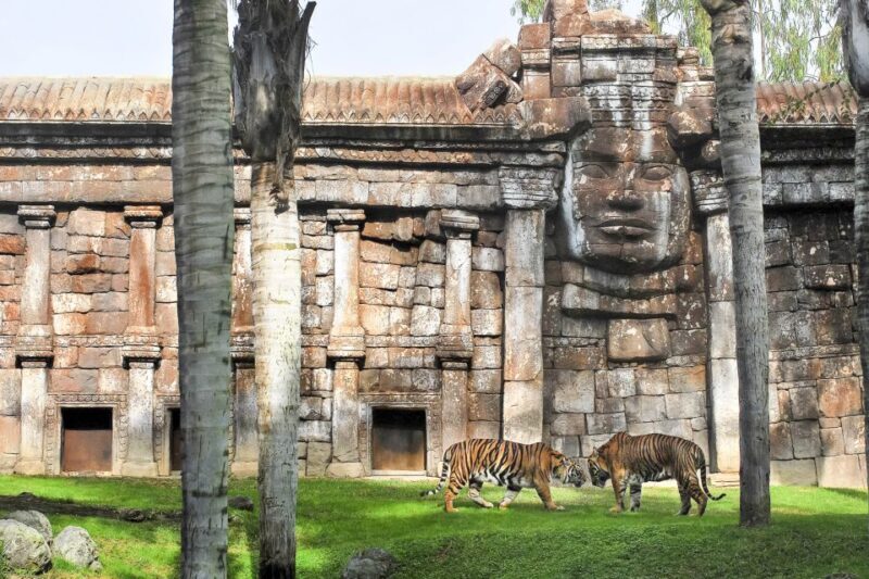 Fuengirola: Bioparc Entrance Ticket - Educational and Interactive Elements