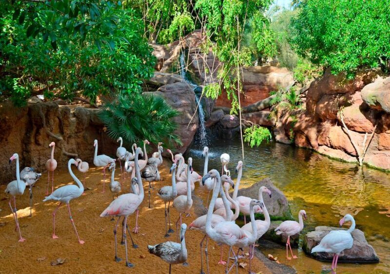 Fuengirola: Bioparc Entrance Ticket - Value and Cost-Benefit Analysis