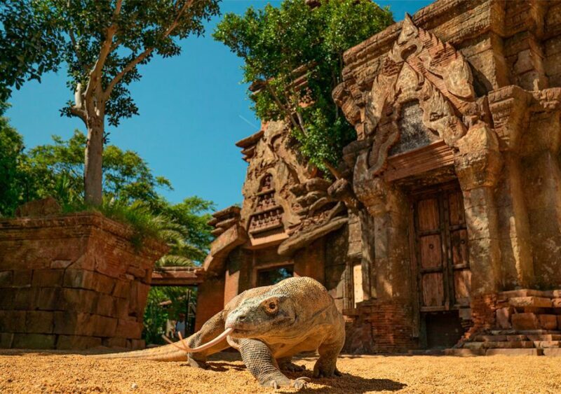 Fuengirola: Bioparc Entrance Ticket - Final Thoughts: Who Should Visit Fuengirola’s Bioparc?