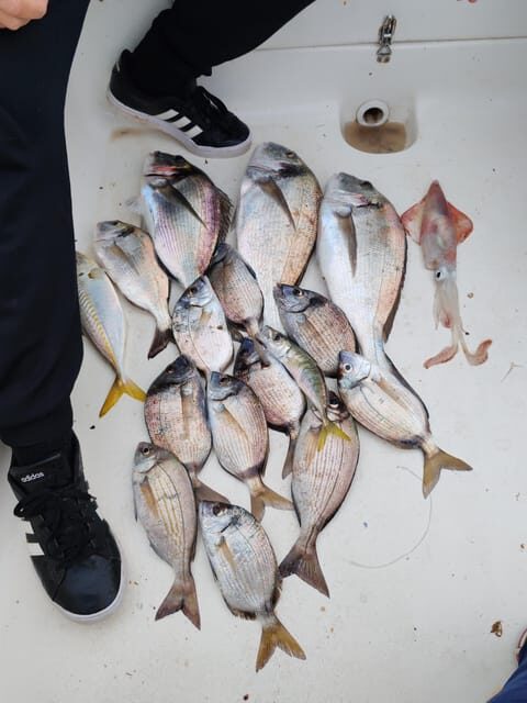 Fuengirola: Bottom Fishing with Jigging and Squid, 2, 4 and 6 hours - The Sum Up