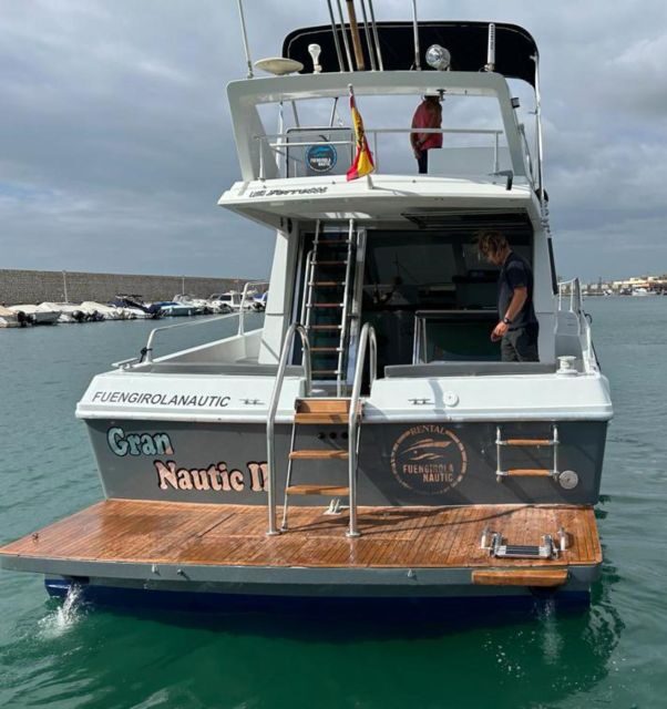 Fuengirola: Dolphin Spotting Tour - An Honest Look at the Experience