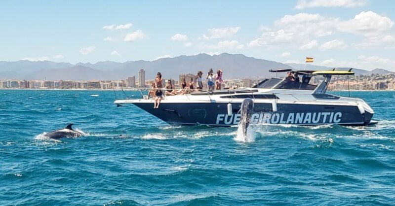 Fuengirola: Dolphin Watching by Yacht with Snacks and Drinks - Final Thoughts: Is it Worth It?