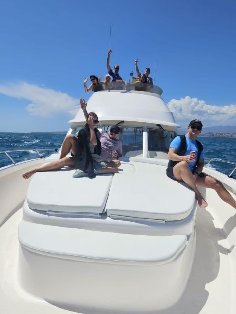 Fuengirola: Dolphin Watching Excursion with Refreshments - Key Points