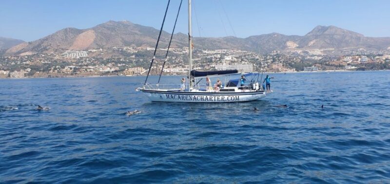 Fuengirola: Dolphin-Watching Sailing Tour with Drinks - Authentic Experiences and What Travelers Say