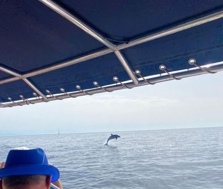 Fuengirola: Fantastic Dolphin Watching Yacht Tour with Drink - FAQs