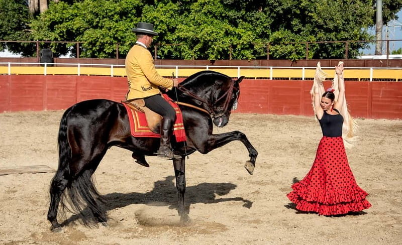 Fuengirola: Spanish Horse Show with Optional Dinner/Flamenco - Exploring the Fuengirola: Spanish Horse Show with Optional Dinner/Flamenco Experience