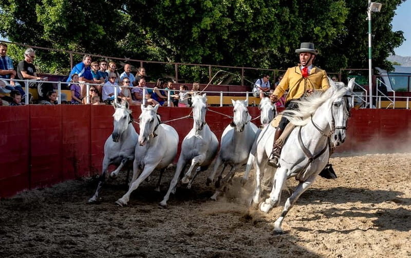 Fuengirola: Spanish Horse Show with Optional Dinner/Flamenco - Authenticity & Cultural Value