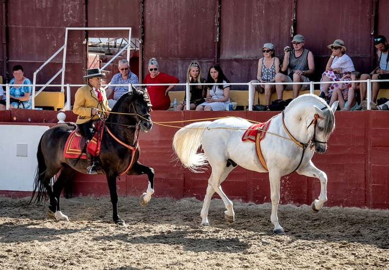 Fuengirola: Spanish Horse Show with Optional Dinner/Flamenco - Frequently Asked Questions