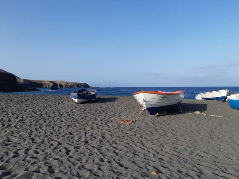 Fuerteventa: Ajuy Pirate Caves & Aloe Factory Half-Day Trip - Who Will Love This Tour?