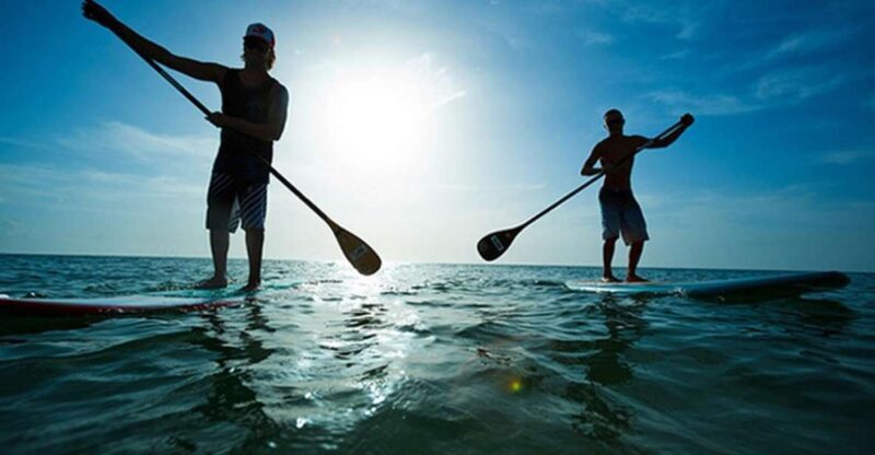 Fuerteventura: 1.5-Hour SUP Course - Caleta de Fuste - An In-Depth Look at the SUP Course