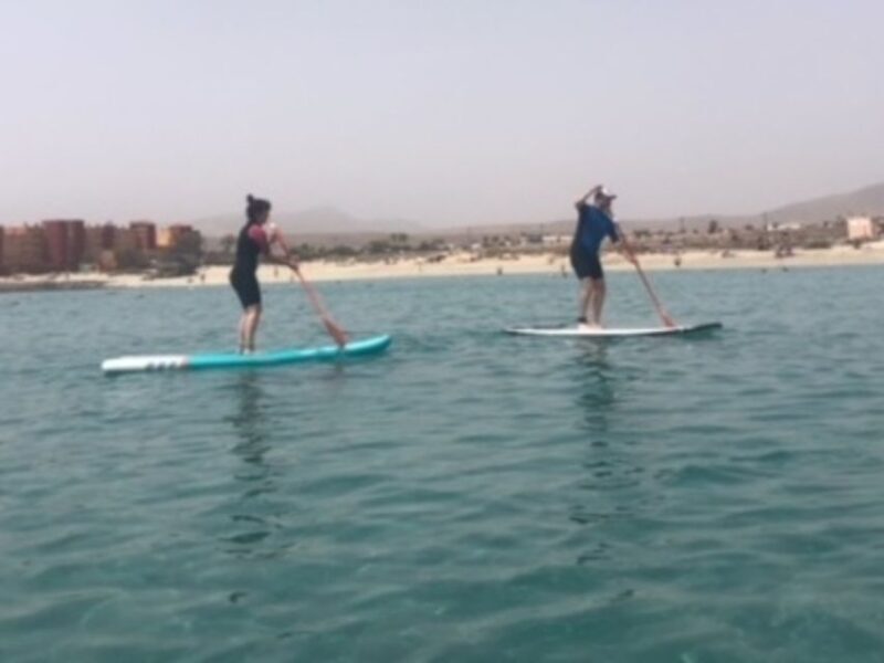 Fuerteventura: 1.5-Hour SUP Course - Caleta de Fuste - Practical Tips for Your SUP Experience