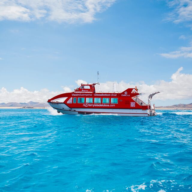 Fuerteventura: 1-Hour Mini Swim & Snorkel Cruise - Final Thoughts
