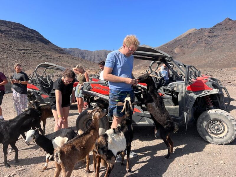 Fuerteventura : 2 hours Buggy Tour in Punta de Jandía - Final Thoughts