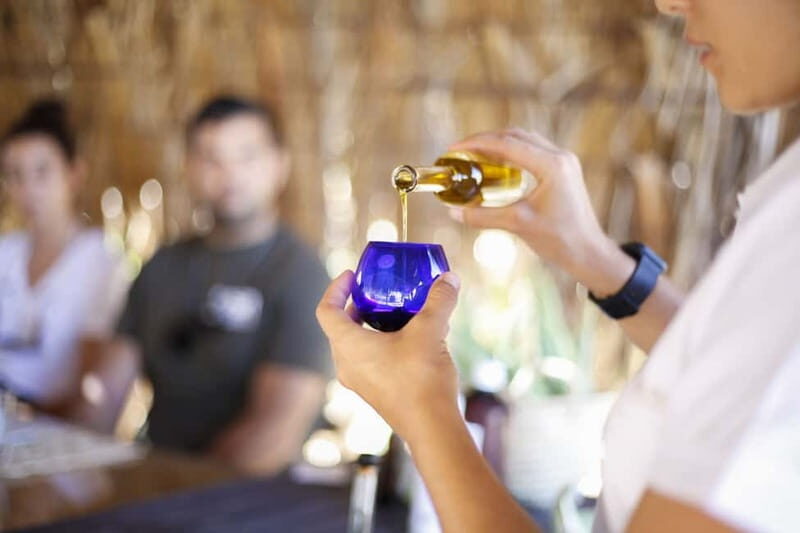 Fuerteventura Aloe & Olivo Tour with Optional Lunch - A Genuine Introduction to Fuerteventura’s Agriculture
