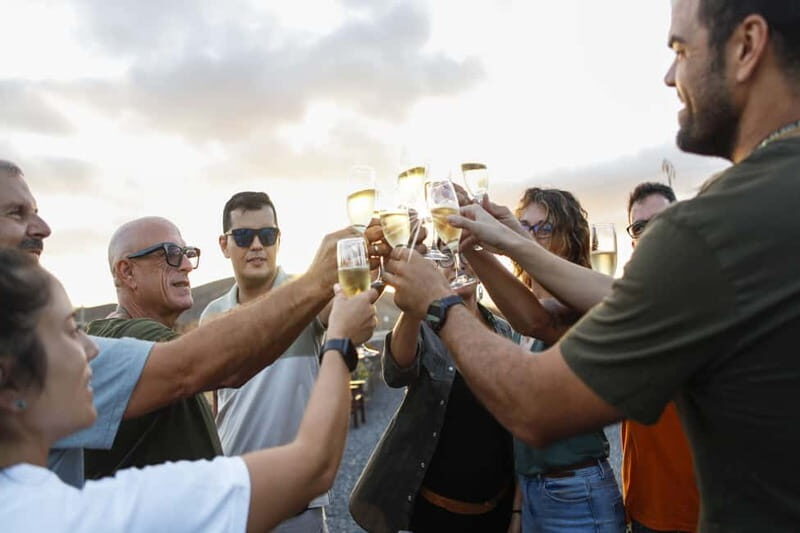 Fuerteventura Aloe & Olivo Tour with Optional Lunch - The Sum Up