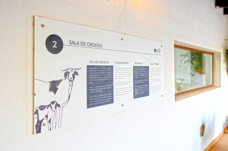 Fuerteventura: Artisan Goat's Cheese Making at Local Farm - A Genuine Look at the Cheese-Making Experience
