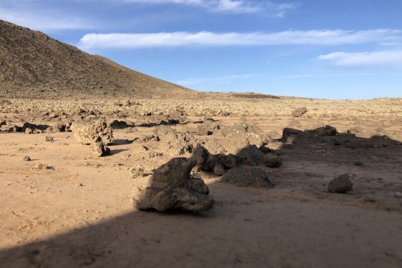 Fuerteventura: Calderón Hondo Volcano Tour - Final Thoughts: Who Is This Tour Perfect For?