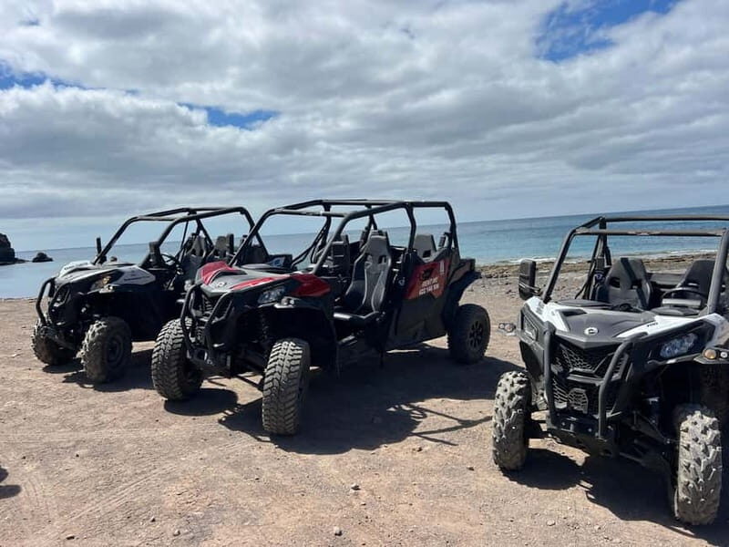 Fuerteventura: Can am buggy experience Costa Calma - Key Points