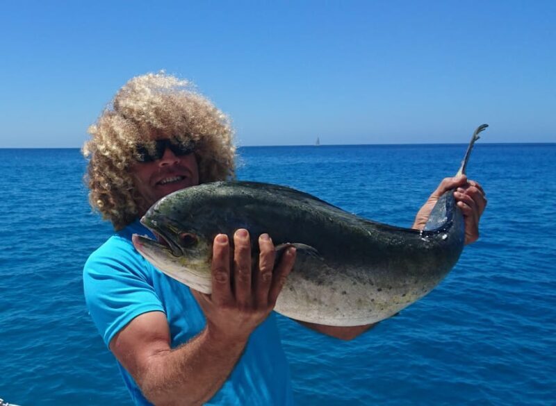 Fuerteventura: Catamarán navegación a vela y delfines. - Practical tips for booking and participating