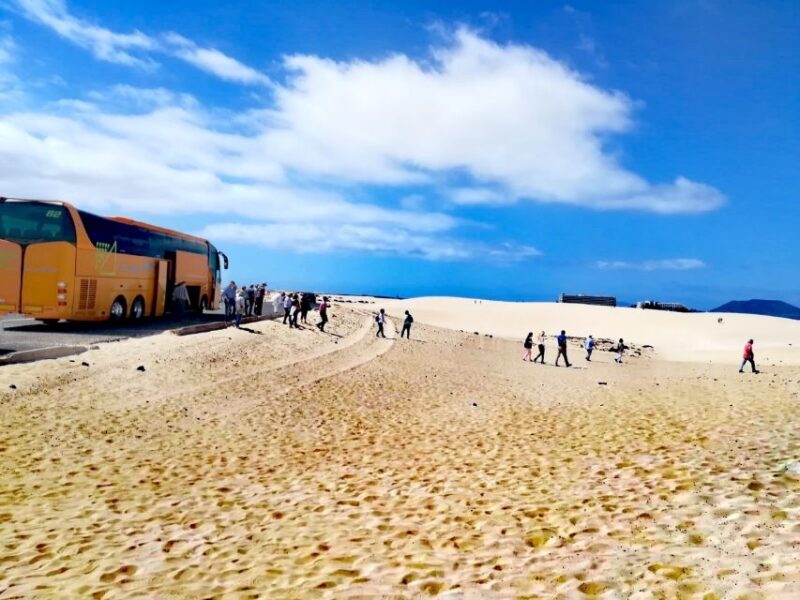 Fuerteventura: Corralejo Sand Dunes Guided Shore Excursion - Practical Considerations