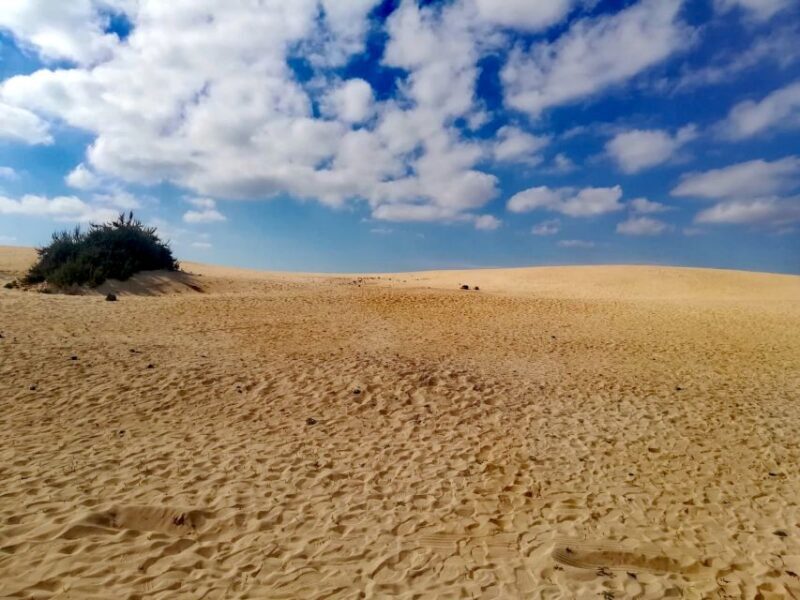 Fuerteventura: Corralejo Sand Dunes Guided Shore Excursion - Final Thoughts